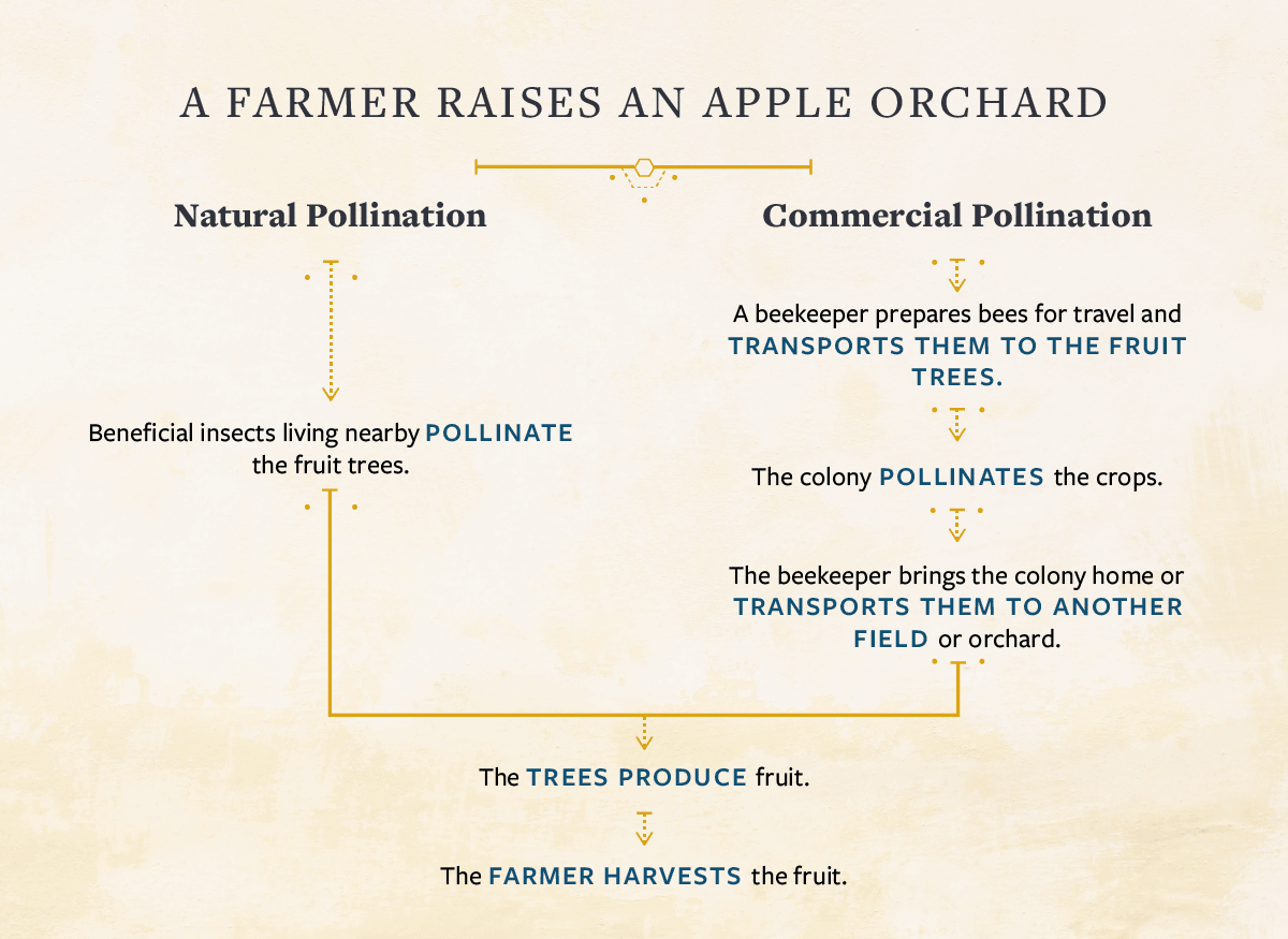 Colony Collapse, Climate Change and Public Health Explained | Online ...